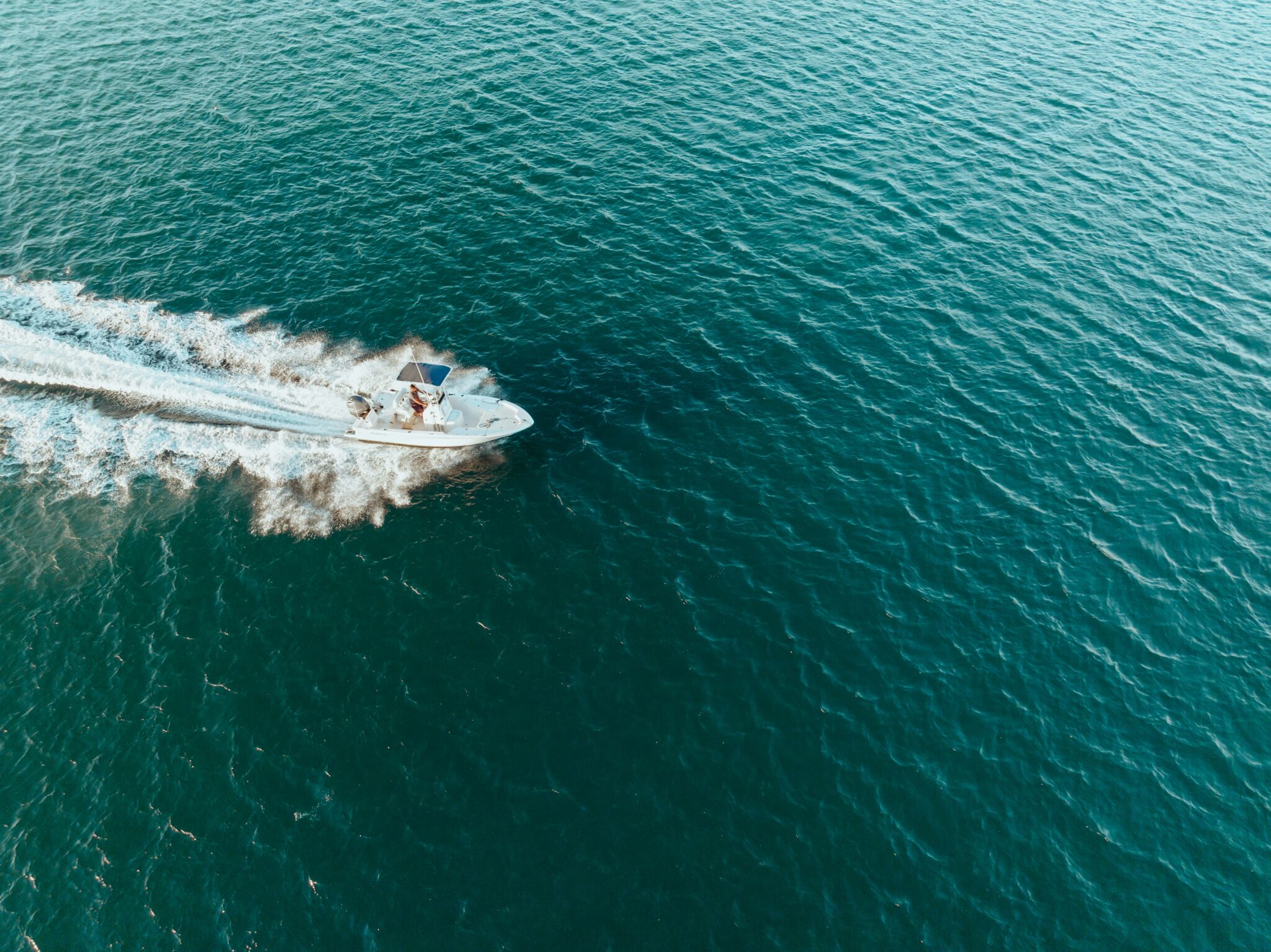 Make a Splash With the Best Water Excursions in Hilton Head – Beachside ...